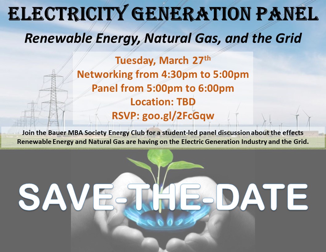 Electricity Generation Panel - BMBAS
