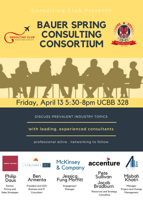 Bauer Spring Consulting Consortium - BMBAS